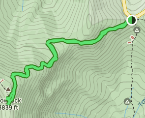 Appalachian Trail: Tesnatee Gap to Cow Rock Mountain : 1 276 Photos ...