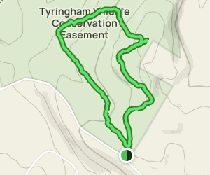 Mount Hunger Loop Trail: 38 Reviews, Map - Massachusetts | AllTrails