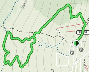 Aspen Trail Loop, Arizona - 2,031 Reviews, Map | AllTrails