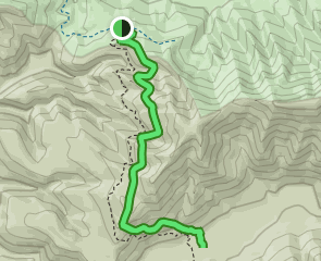 Rugged Ridge Trail: 12 Reviews, Map - Washington | AllTrails