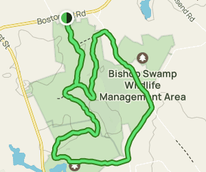 Bishop Swamp Extended Loop | Map, Guide - Connecticut | AllTrails