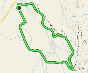Pilchuck Tree Farm Loop via Bracken Trailhead: 166 Reviews, Map ...