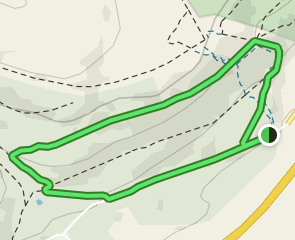 Scaragh Wood - Blue Loop: 20 Fotos - County Tipperary, Irland | AllTrails