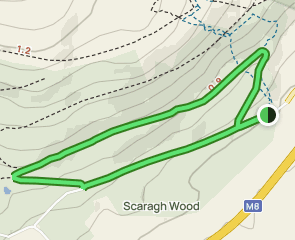 Scaragh Wood - Green Loop: 11 fotos - Condado de Tipperary, Irlanda ...