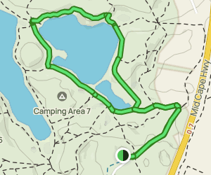 Higgins Pond Loop: 160 Reviews, Map - Massachusetts | AllTrails