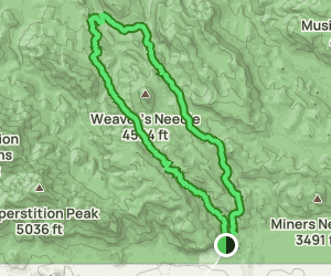 Weavers Needle Loop Trail: 511 Reviews, Map - Arizona | AllTrails