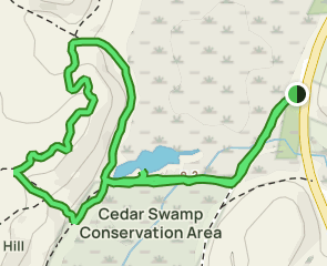Cedar Swamp Trail , Massachusetts - 162 Reviews, Map | AllTrails