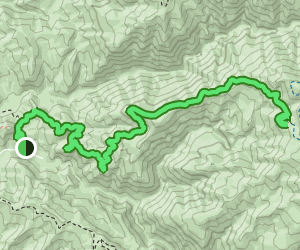 Tucker Wildlife Sanctuary to Laurel Spring: 305 Reviews, Map ...