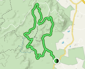 Frady Branch Trail System Perimeter Loop: 285 foto - Georgia | AllTrails