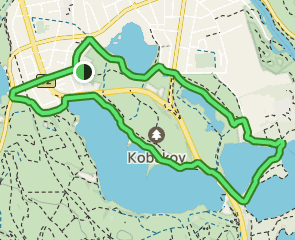 Lyngsø Lake - Vejlsø - Brassø - Almind Lake, Central Denmark Region ...