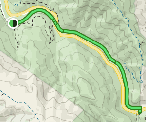 Cross Marin Trail: 307 Reviews, Map - California | AllTrails
