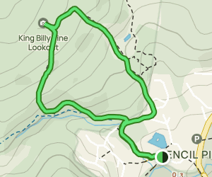 King Billy Pine Lookout Track: 119 Reviews, Map - Tasmania, Australia ...