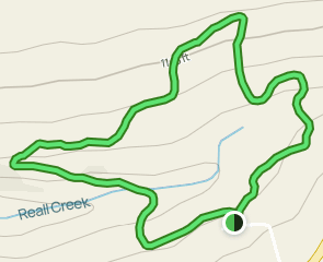 Deerfield Wilderness Loop, New York - 203 Reviews, Map | AllTrails