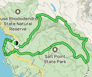 Salt Point and North Trail Loop: 291 Reviews, Map - California | AllTrails