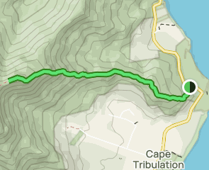 Mount Sorrow Ridge Trail, Queensland, Australia - 244 Reviews, Map ...