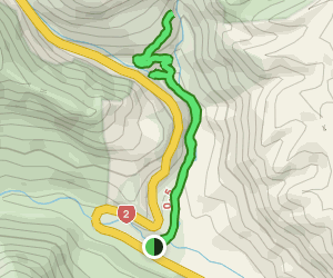 Tangoio Walkway: 32 Reviews, Map - Hawke's Bay, New Zealand | AllTrails