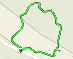 Society Flat Rainforest Walk, Queensland, Australia - Map, Guide ...