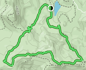 Yellow Jacket Loop, Oregon - 33 Reviews, Map | AllTrails