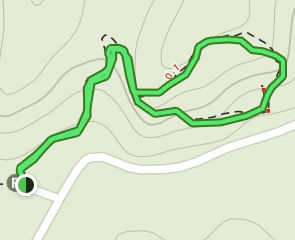 Split Bow Arch Loop, Kentucky - 153 Reviews, Map | AllTrails