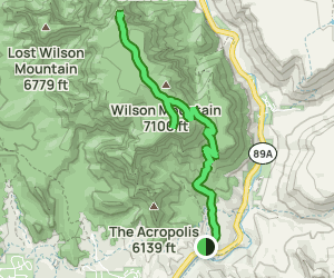 Wilson Mountain Trail: 990 Reviews, Map - Arizona | AllTrails