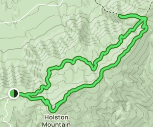 Holston Mountain and Flint Mill Gap: 49 Reviews, Map - Tennessee ...