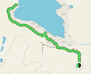 Lake Rotokauri Walk, Waikato, New Zealand - 9 Reviews, Map | AllTrails