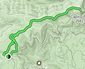 Capitol Peak via Crestline Trail, Washington - 3 Reviews, Map | AllTrails