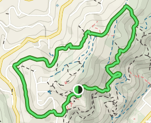 Te Ahumairangi Hill Lookout Loop, Wellington, New Zealand - 4 Reviews ...