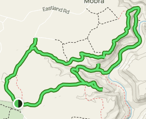 Polly Branch Falls Trail, Tennessee - 107 Reviews, Map | AllTrails