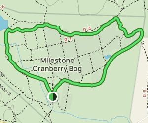 Bog Loop | Map, Guide - Massachusetts | AllTrails