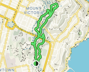 Mount Victoria Loop from Alexandra Road, Wellington, New Zealand - 32 ...