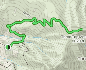 Three Top Mountain Trail, North Carolina - 512 Reviews, Map | AllTrails