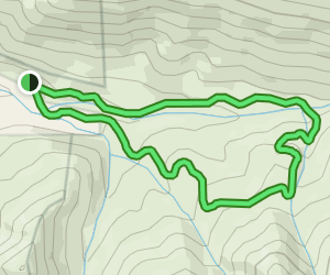 Crystal Springs Loop: 216 Reviews, Map - Virginia | AllTrails
