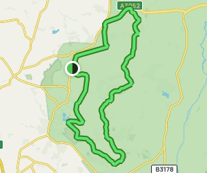 Castle Plantation Circular Walk: 224 foto - Devon, Inghilterra | AllTrails