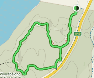 Wetland Trail, Red Gum Trail, Burrawang Walking Track: 79 Reviews, Map ...