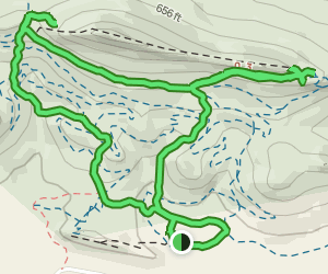 Rattlesnake Ridge Old Roads Loop: 270 Reviews, Map - Arkansas | AllTrails