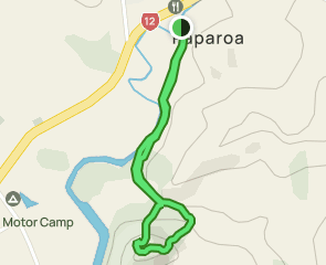 Paparoa Bush Walk, Northland, New Zealand - 10 Reviews, Map | AllTrails
