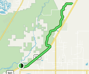 Old Fort King Trail: 275 foto's - Florida | AllTrails