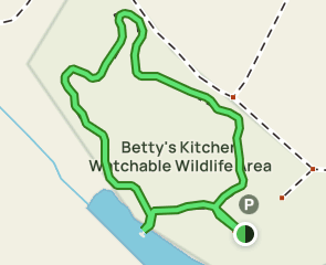 Bettys Kitchen Interpretive Trail: 17 fotos - Arizona | AllTrails