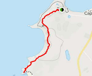 Cape Foulwind Walkway from Lighthouse Road - West Coast, New Zealand ...