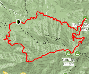 Trillium Gap, Grotto Falls, Brushy Mountain, Bull Head Trail Loop ...