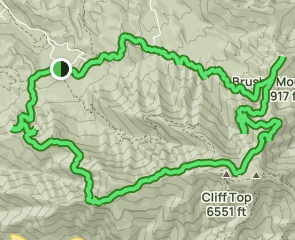 Trillium Gap, Grotto Falls, Brushy Mountain, Bull Head Trail Loop ...
