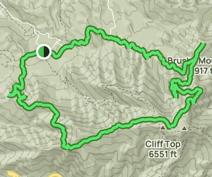 Trillium Gap, Grotto Falls, Brushy Mountain, Bull Head Trail Loop: 71 Reviews, Map - Tennessee ...