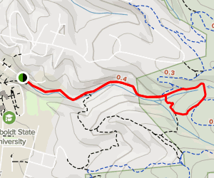 Jolly Giant Trail Loop | Map, Guide - California | AllTrails