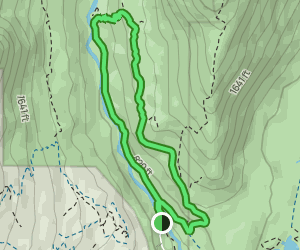 Lower Lynn Loop Trail 1: 1116 Reviews, Map - British Columbia, Canada ...