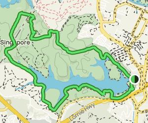 MacRitchie Reservoir and TreeTop Walk Loop: 2 262 foton – Centrala ...