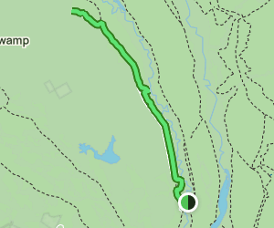 Batsto Fireline Road: Constable Bridge to Rockwood: 10 Reviews, Map ...