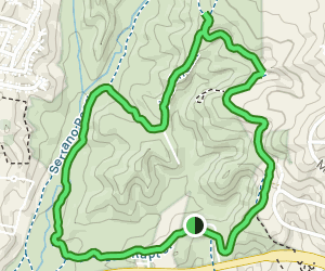 Raptor Road Loop | Map, Guide - California | AllTrails