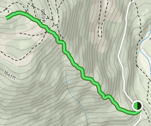 Dewdney Cabin South Trail: 113 Reviews, Map - British Columbia, Canada ...