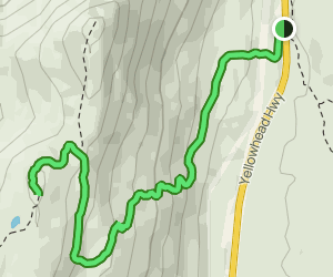 Tall Trees Trail: 122 Reviews, Map - British Columbia, Canada | AllTrails